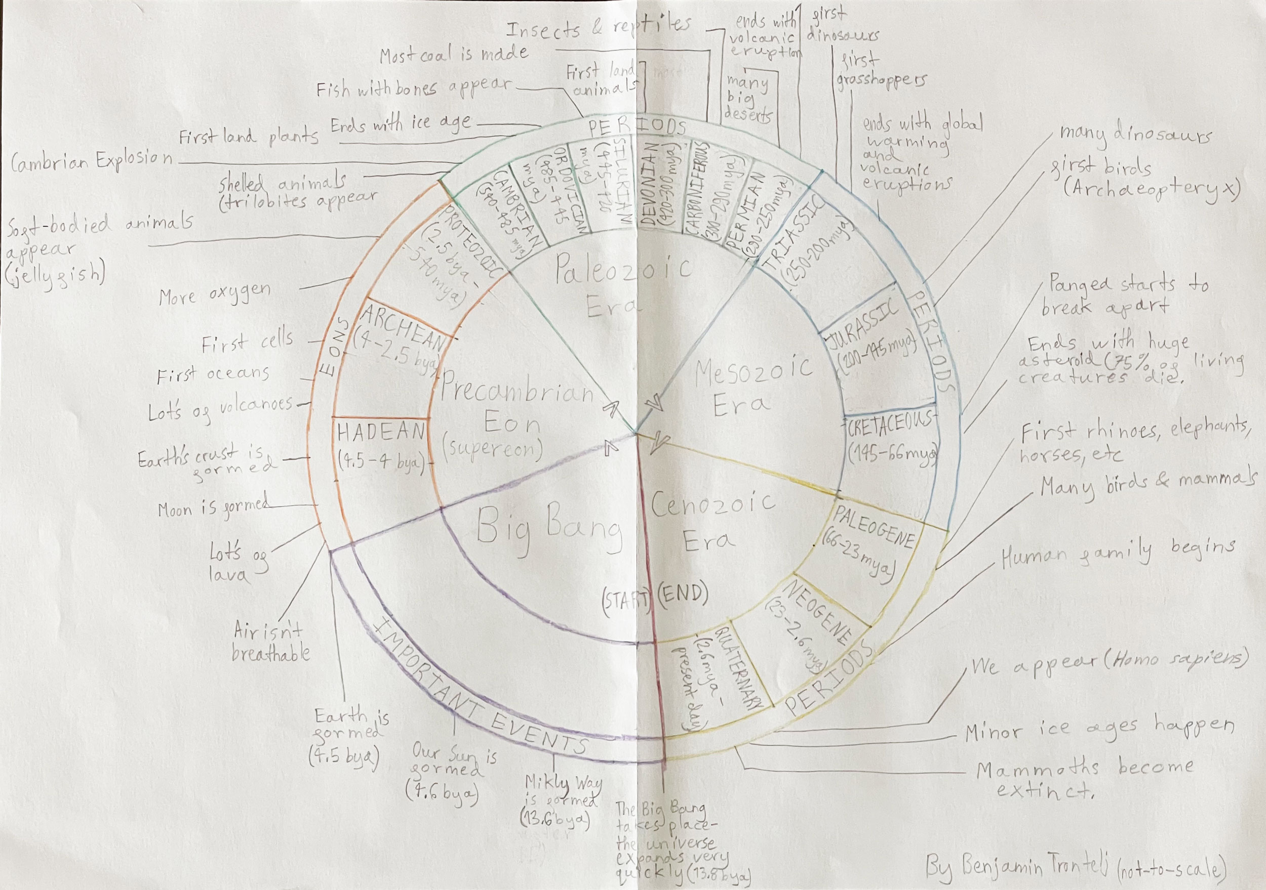 Circular Timeline | Pinegrow Online